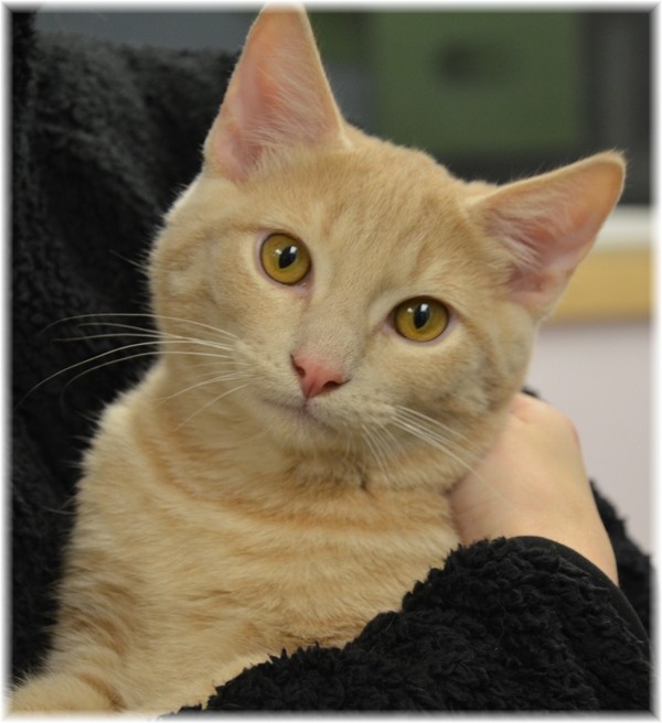 squirt – YesBiscuit!