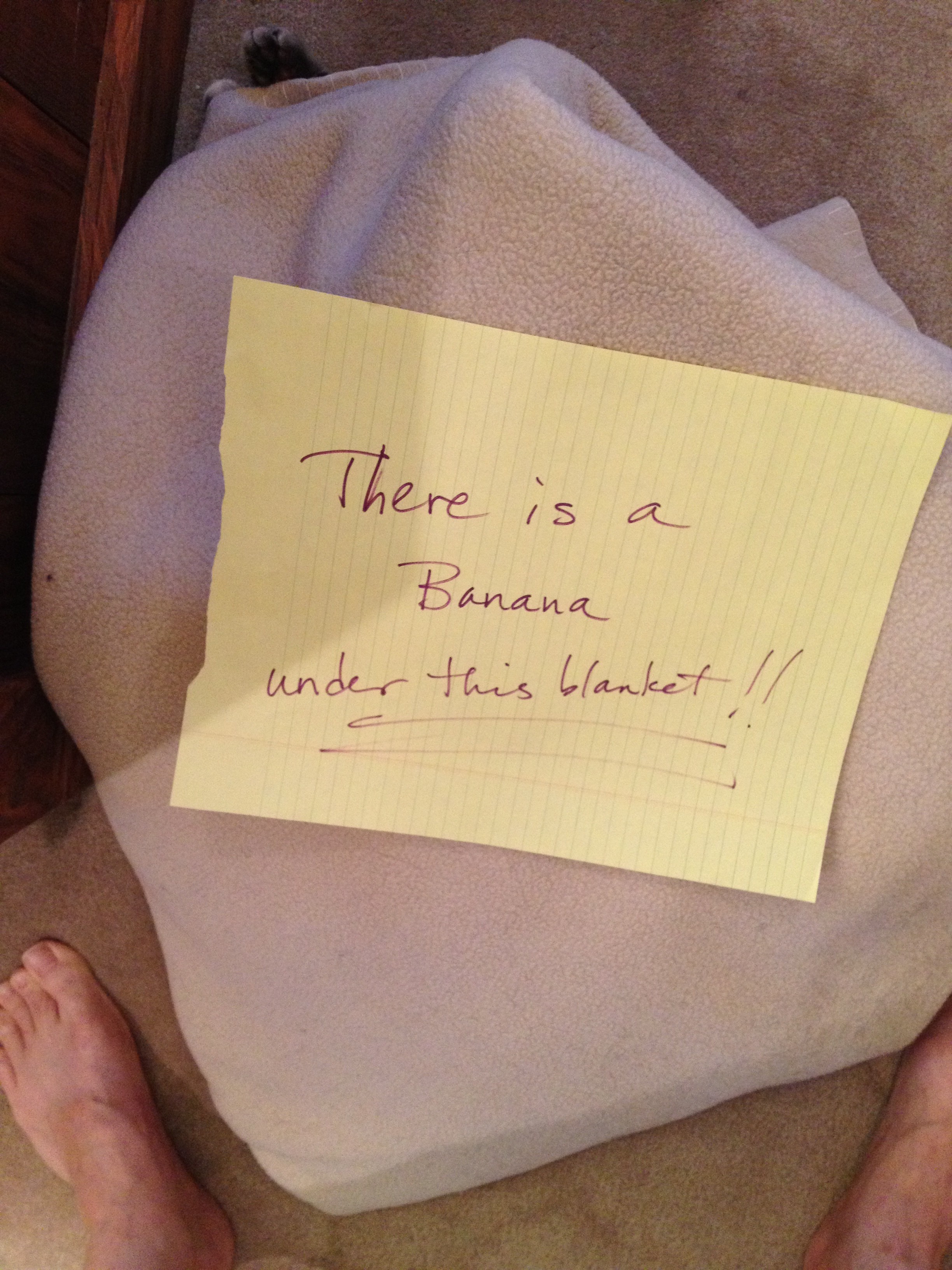 Merry Christmas – YesBiscuit!