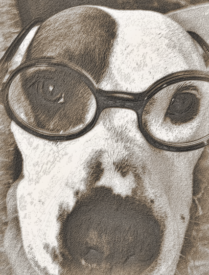 jade-lennon-tribute – YesBiscuit!