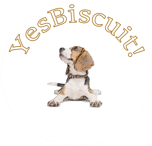 YB II – YesBiscuit!