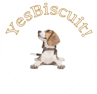 YesBiscuit!