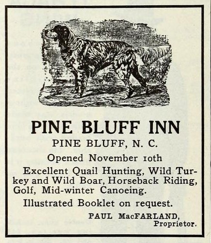 Vintage Print Ads Featuring Dogs – YesBiscuit!